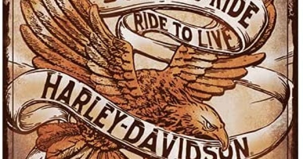 Placa metalica Harley Davidson - Born to Ride Eagle